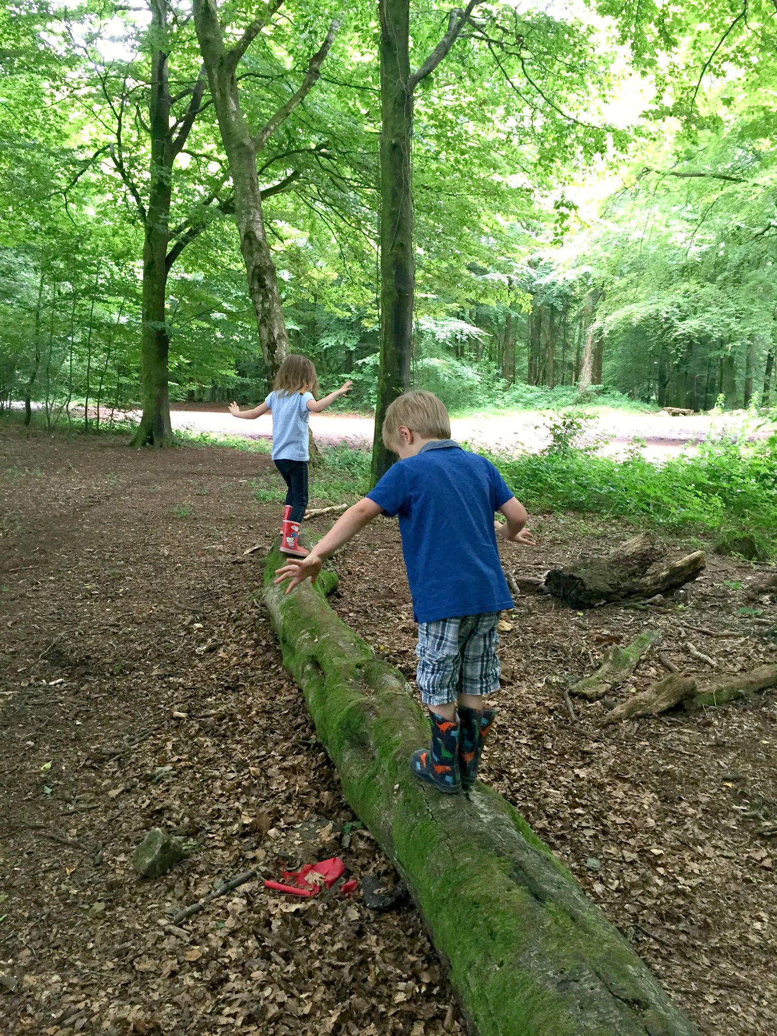 Exploring Fforest Fawr sculpture trail, Tonygwynlais - Cardiff Mummy ...