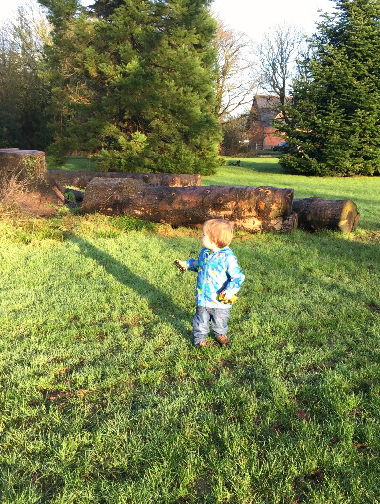 An afternoon at Heath Park Cardiff - Cardiff Mummy SaysCardiff Mummy Says