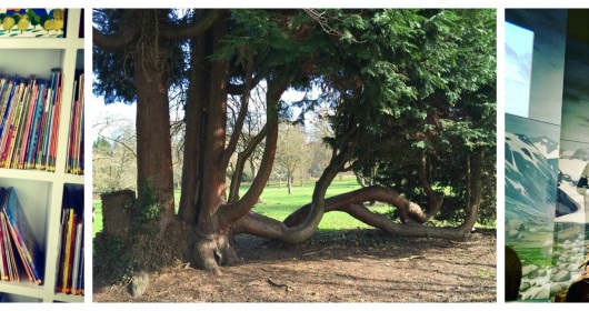 7 reasons why Roath Rec playground, Cardiff is great for toddlers and ...