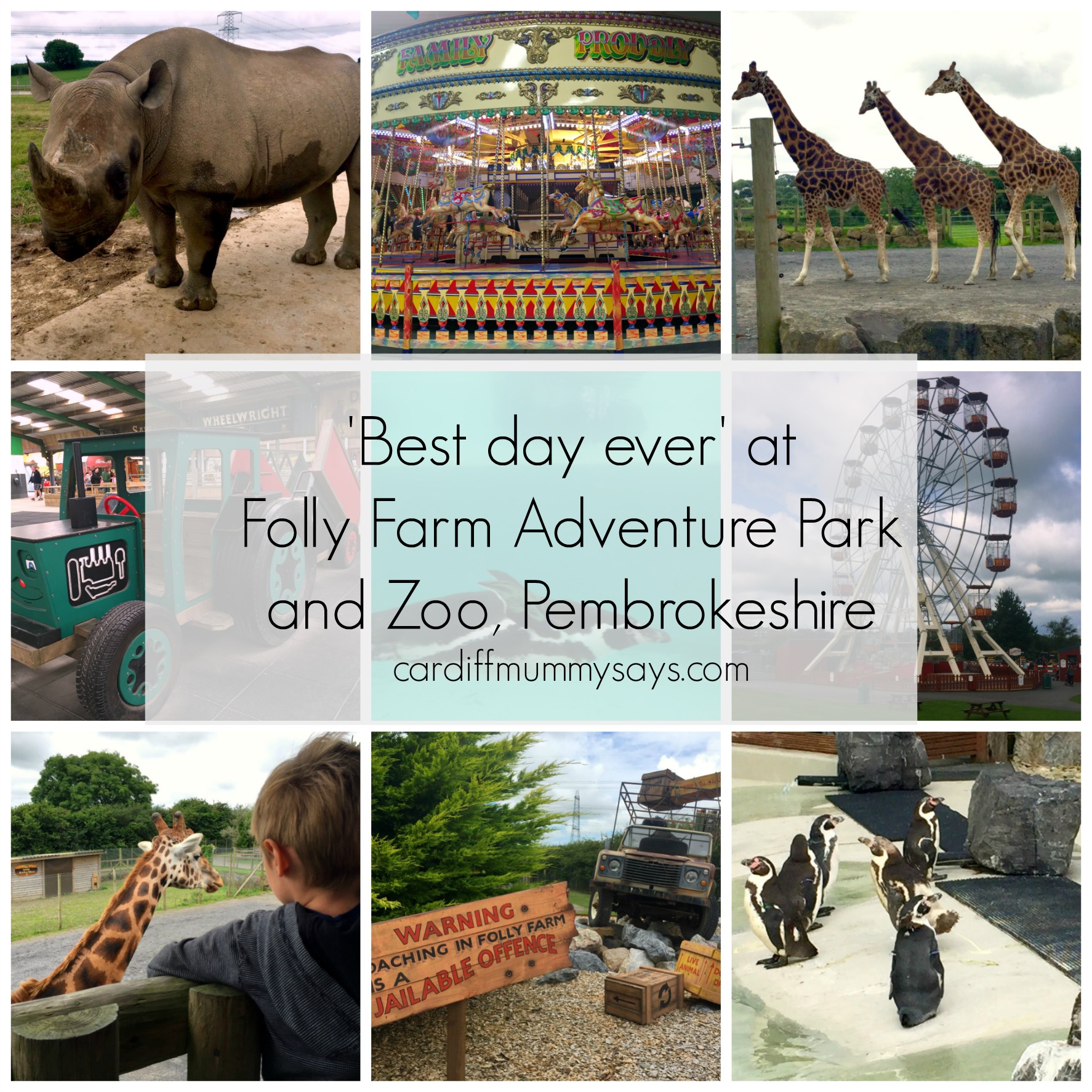 “Best day ever” at Folly Farm – plus win a family ticket - Cardiff ...