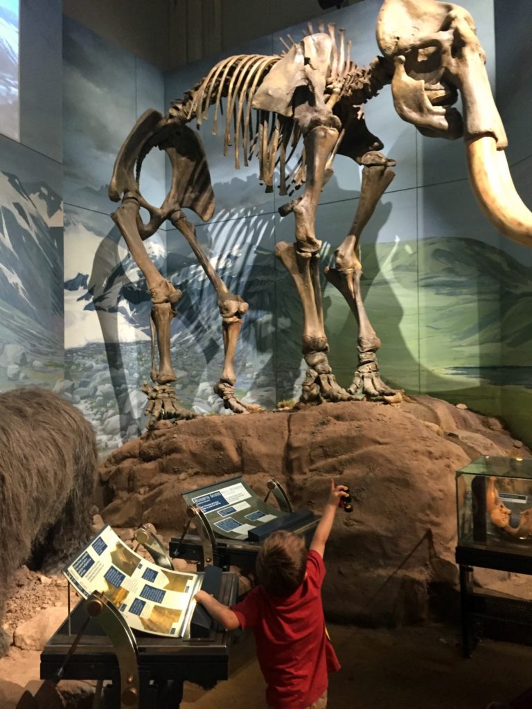 13 events and attractions for South Wales kids who love dinosaurs in ...