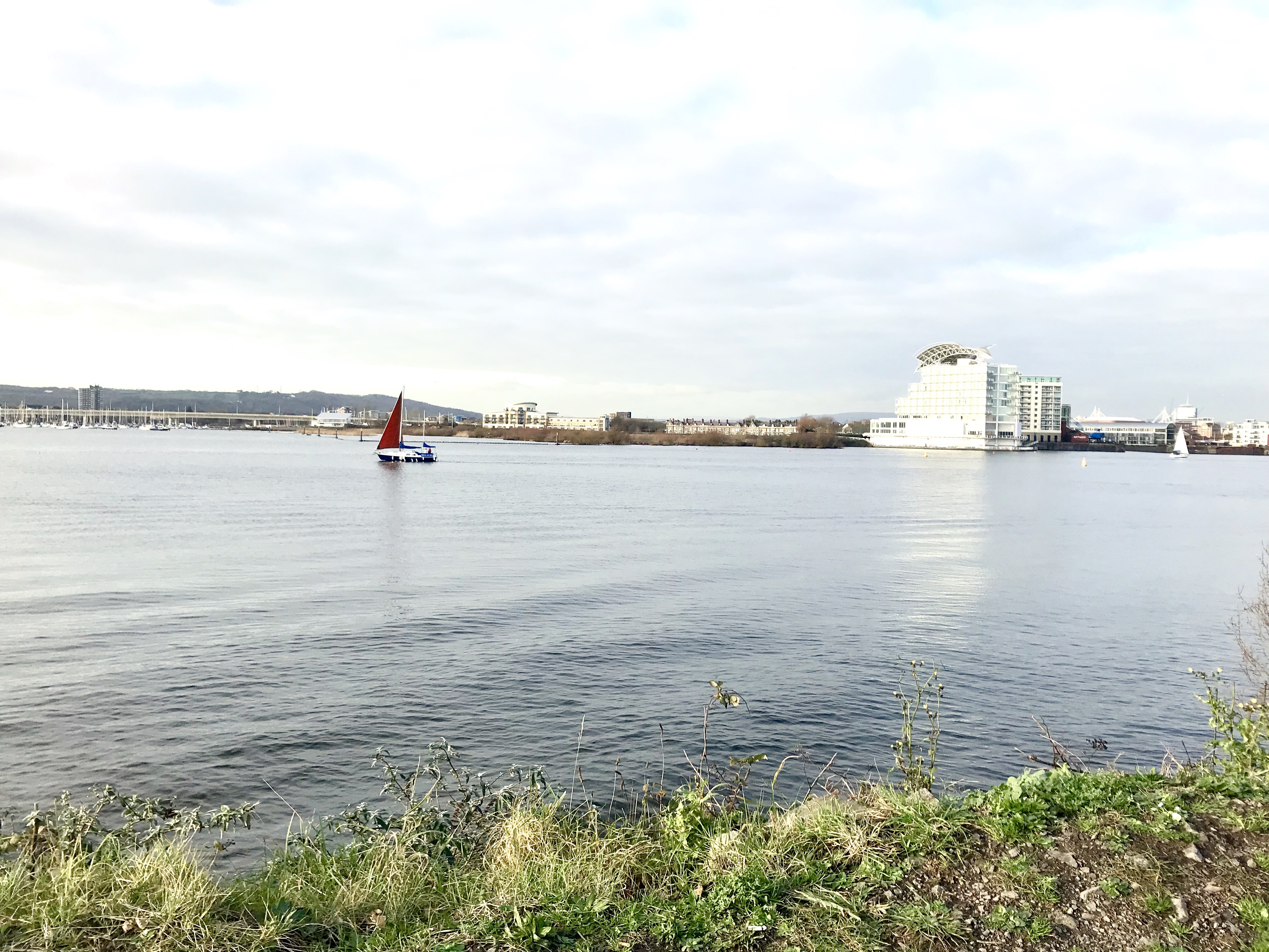 10 free activities not to miss on a family walk across Cardiff Bay ...