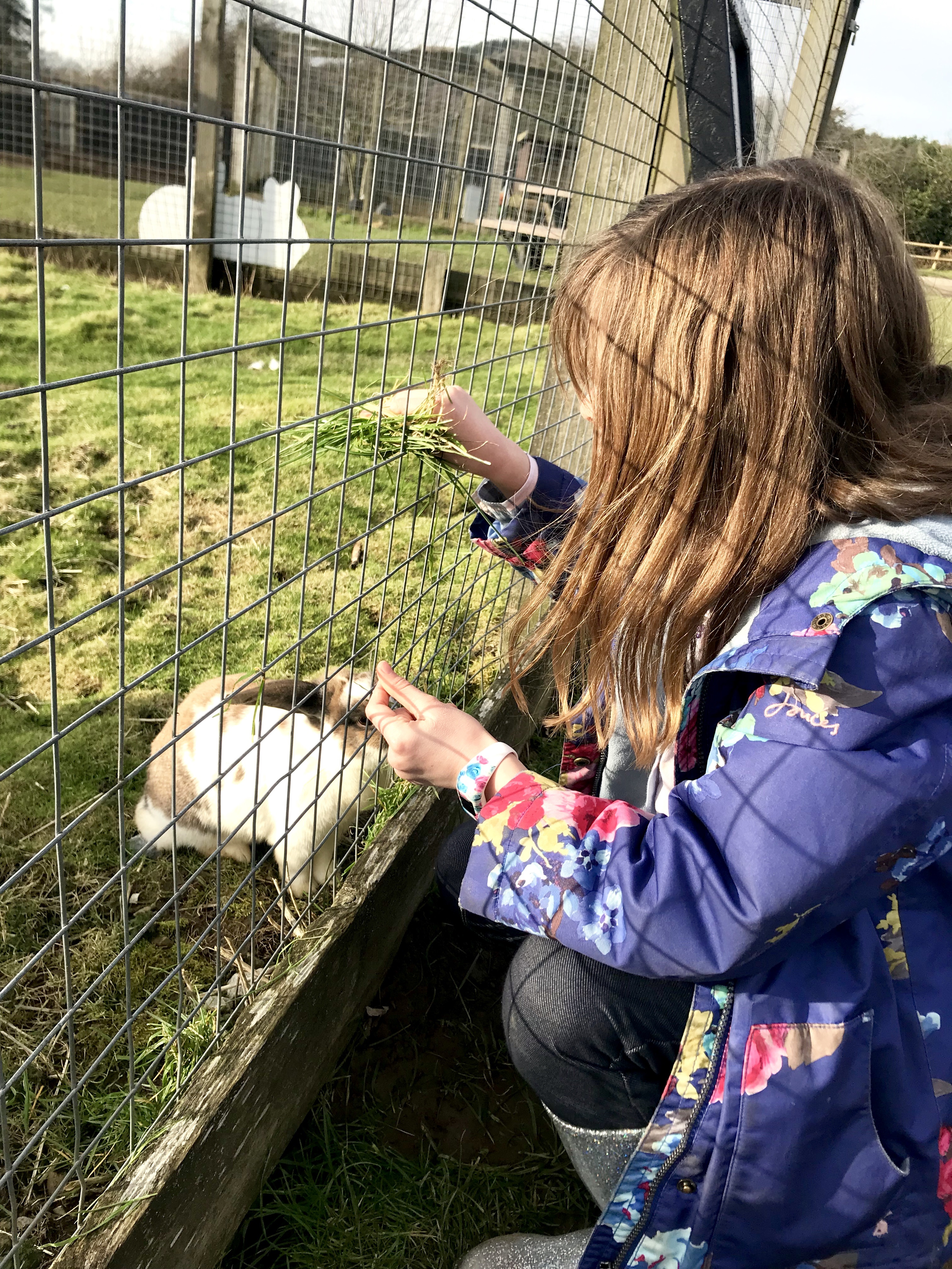 Winter adventures at Margam Country Park near Port Talbot - Cardiff ...